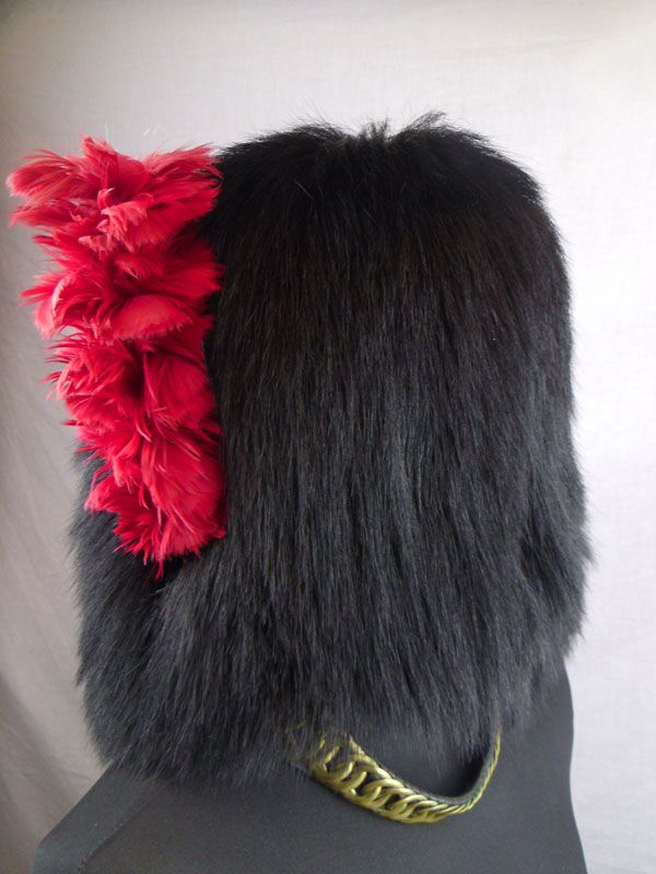 Coldstream guards Bearskin - Walk This Way
